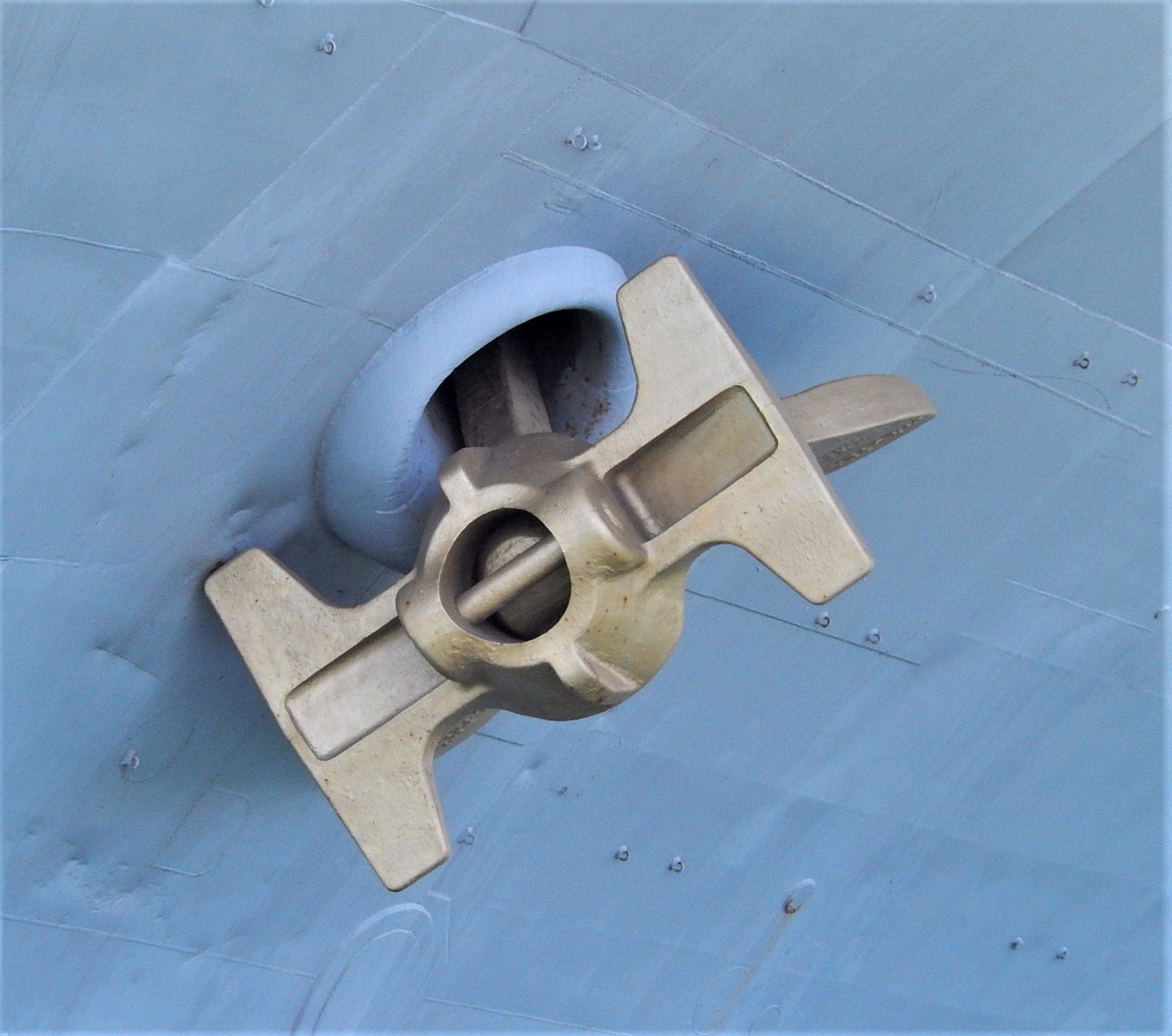 Enduring the Storm – Gene Linzey